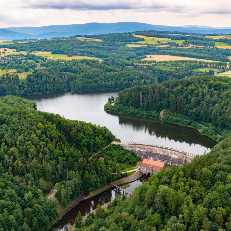 Objawy cukrzycy na skórze – jak rozpoznać i leczyć? – wpek.pl